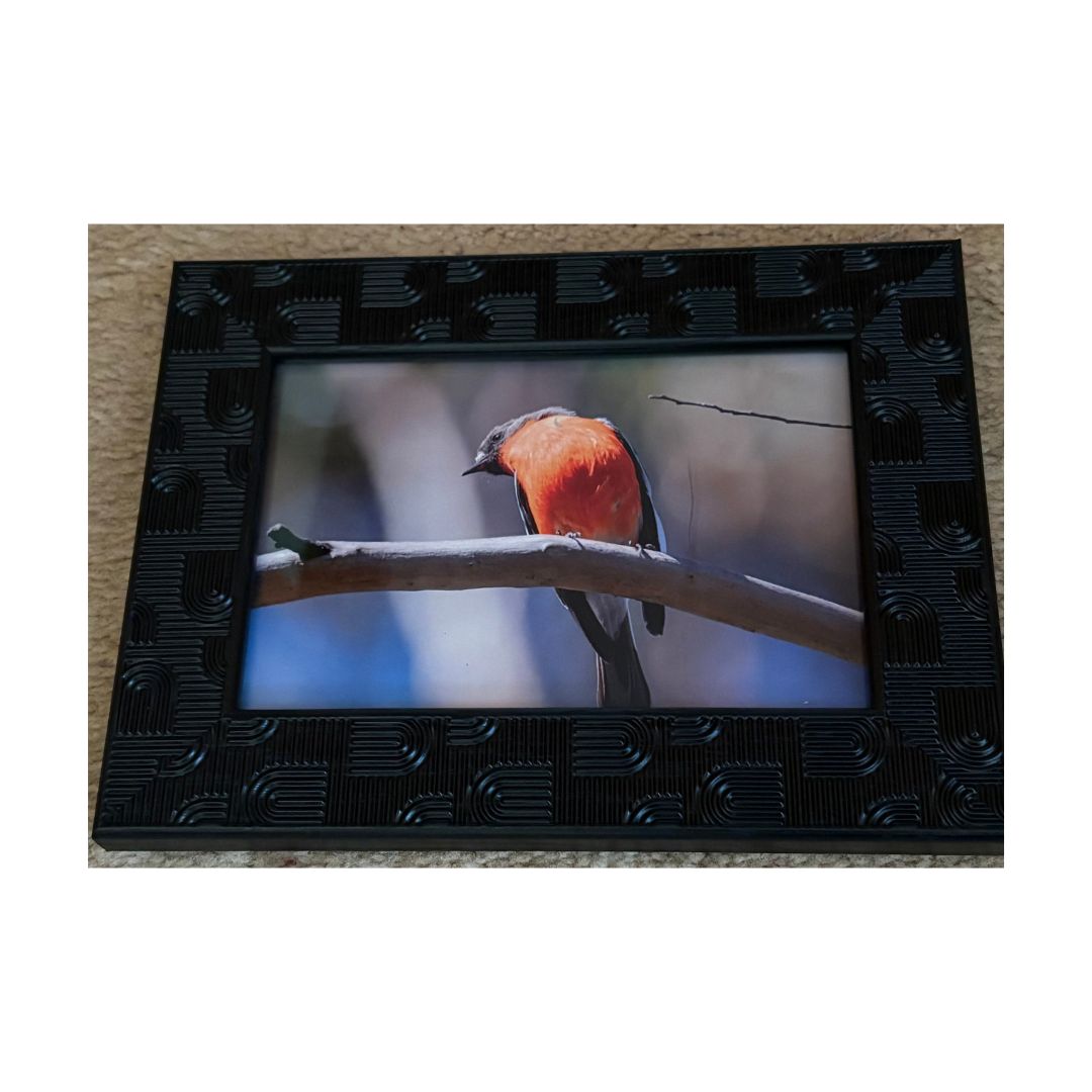 Flame Robin – George Town Art and Artisans