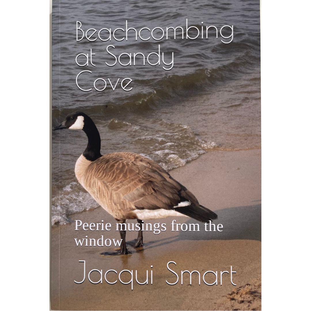 Beachcombing at Sandy Cove – George Town Art and Artisans